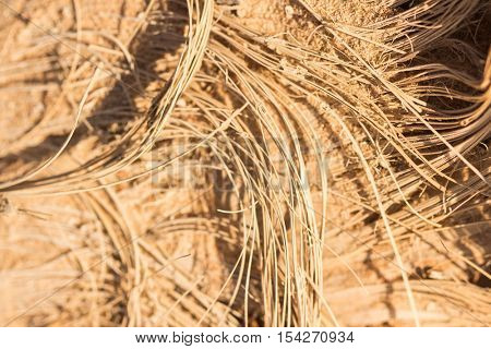 Reed Thatch Detail, Hay Straw Stack Background Texture - Stock Image ...